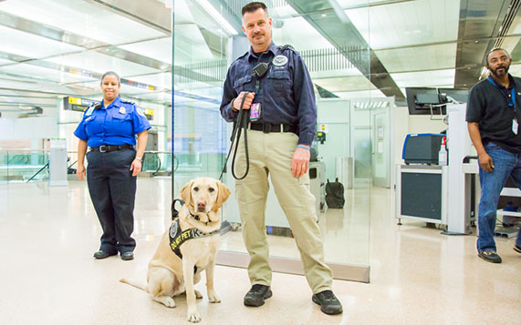 US Senate agreement to tighten airport security